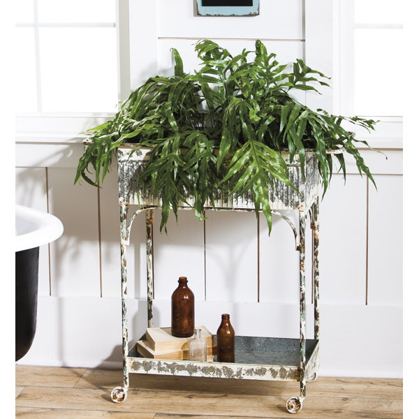 Rectangular Plant Stand & Reviews | Joss & Main