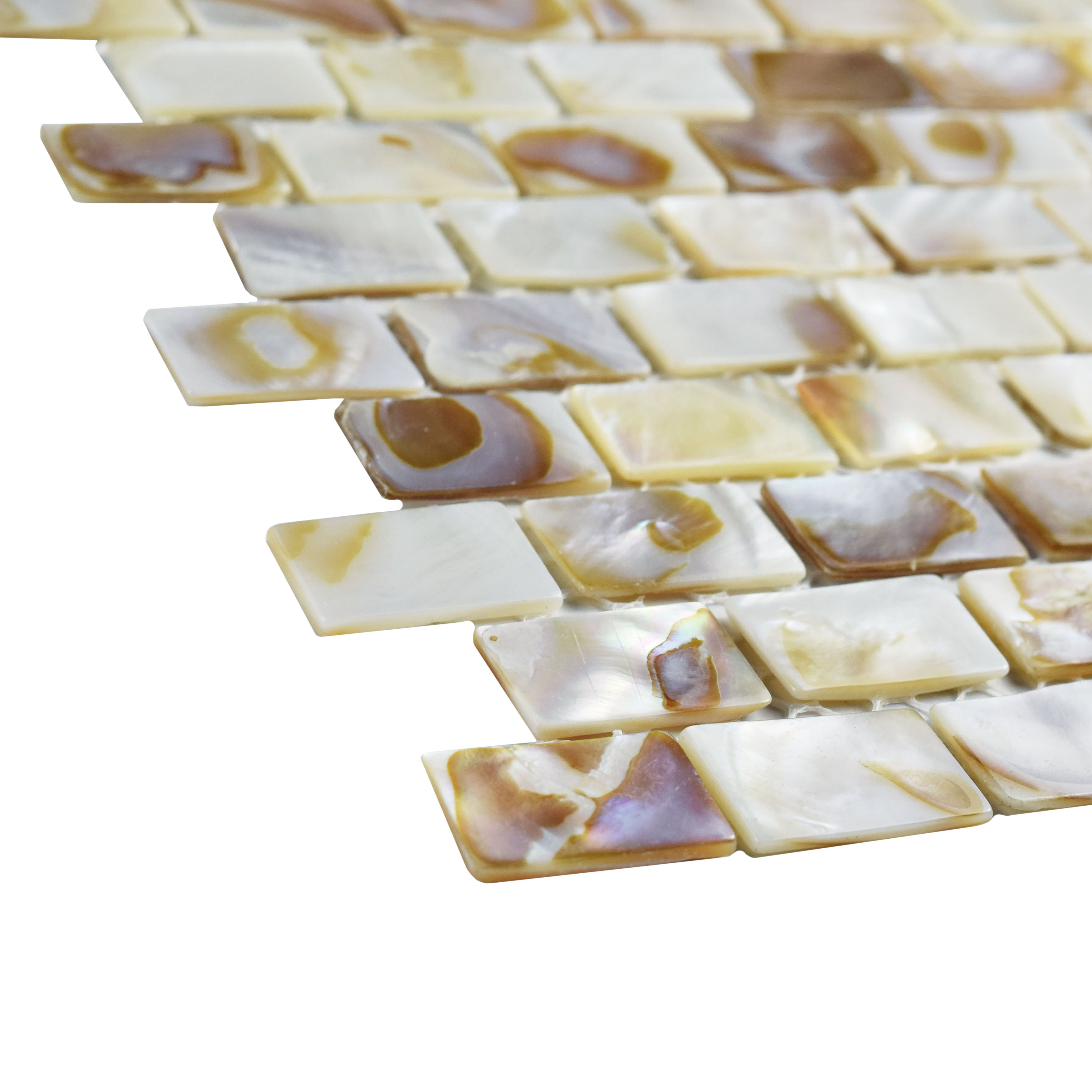 EliteTile Shore 0.56" x 0.88" Seashell Mosaic Tile in Natural & Reviews ...